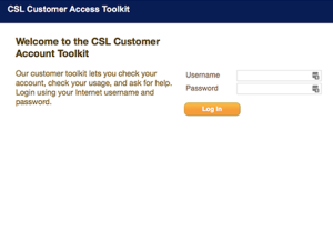 Customer Portal – Computer Services Limited